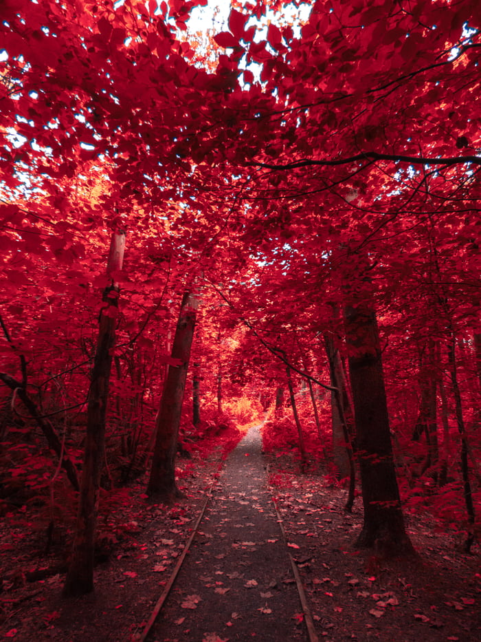 Just another nature picture - 9GAG