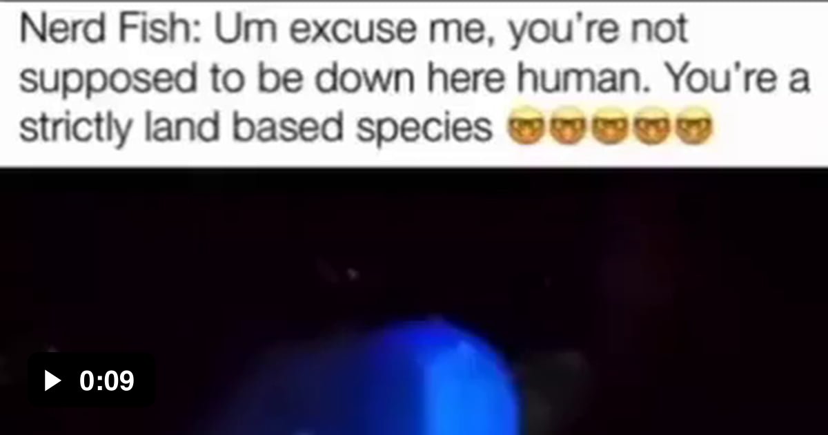 Nerd fish🤓🤓 - 9GAG