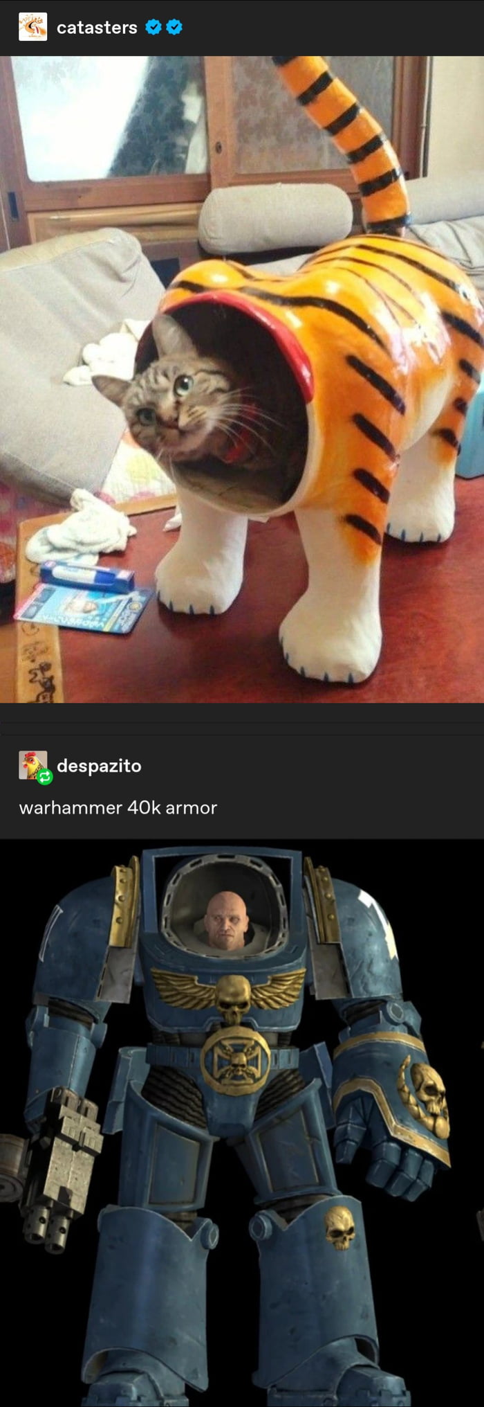 Warhammer 40K(ittens) - 9GAG