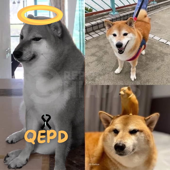 Se nos fue el Chems para el muro banda. - 9GAG