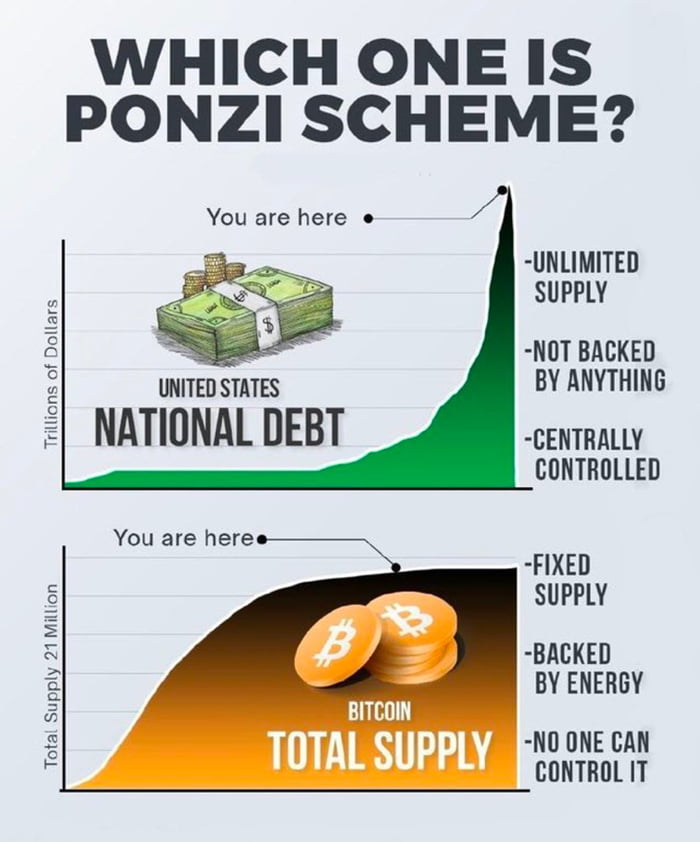 How to Spot a Ponzi Scheme and Protect Your Money - 9GAG