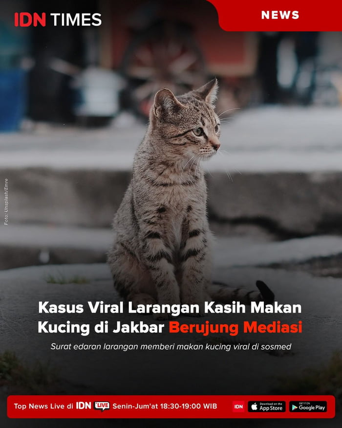 Das not good, hooman - 9GAG