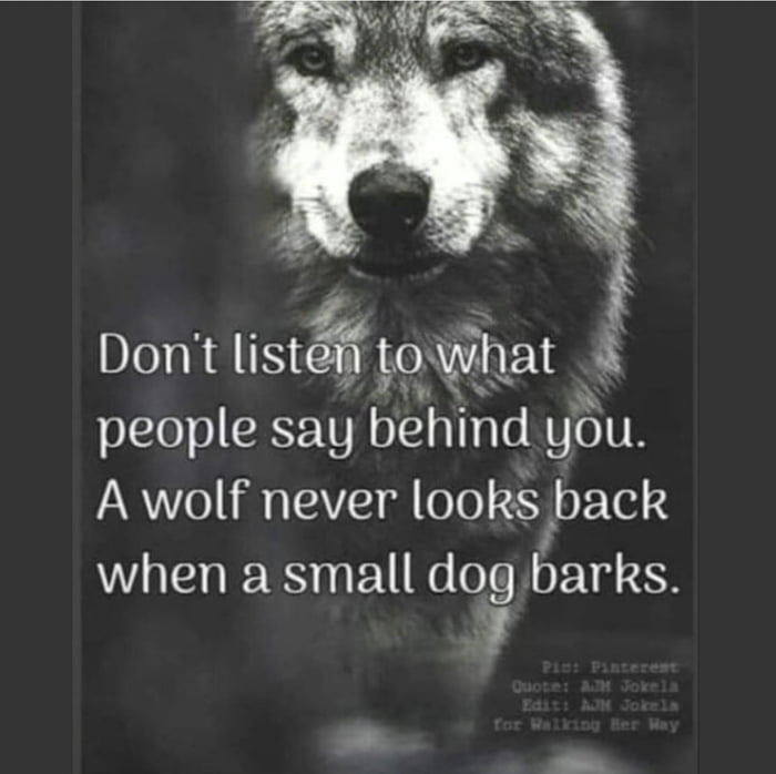 Posted unironically by an acquaintence on Facebook. These "inspiring ...