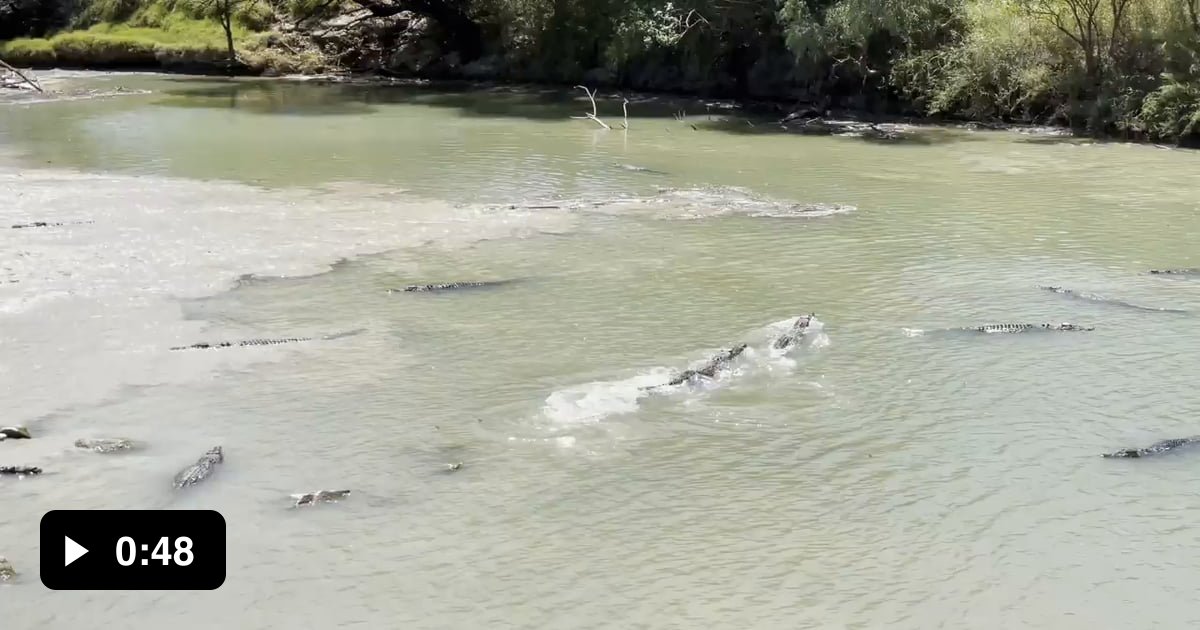 Road train and fourby pass over crocodile infested river using Cahills ...