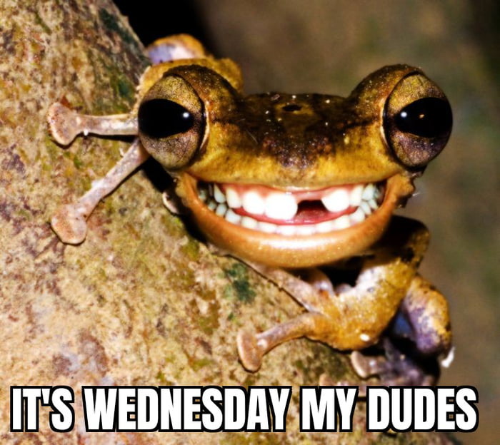 It's Wednesday - 9GAG