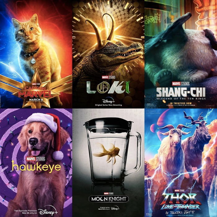 Multiverse Of Pets - 9GAG