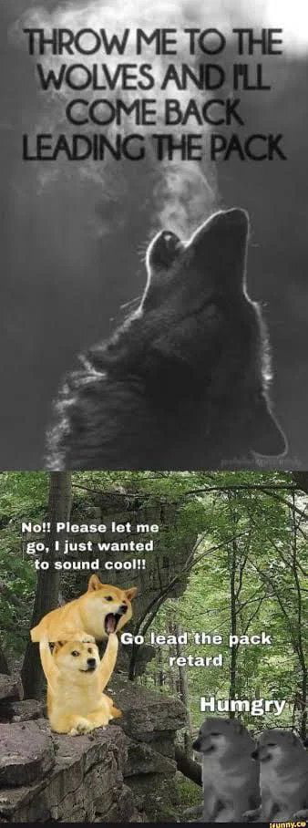 In ThE world oF ShEeP iM ThE wOlF - 9GAG