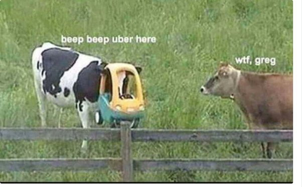 Greg, The Cow Uber, The Deliverer of Us All. - 9GAG