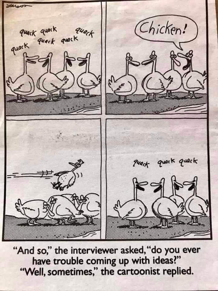 Quack quack CHICKEN - 9GAG