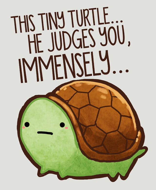 This Tiny Turtle... - 9GAG