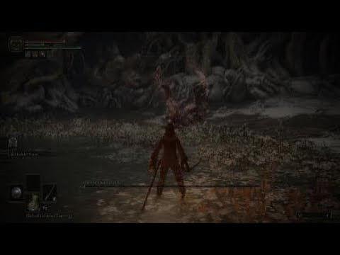 Malenia phase 2 skip? - 9GAG