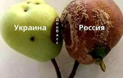 Russian bots comments in 3, 2, 1... - 9GAG