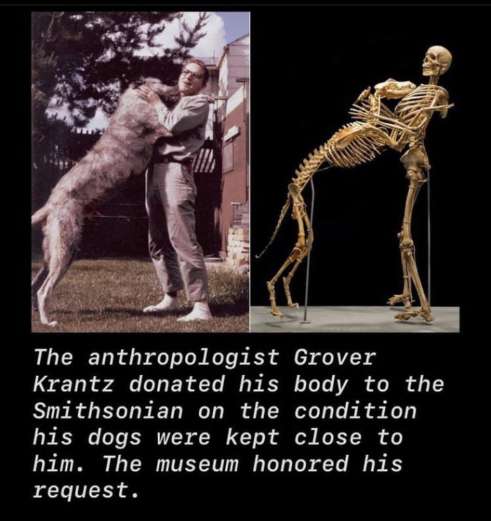 Same Man. Same Dog 🥺 - 9GAG