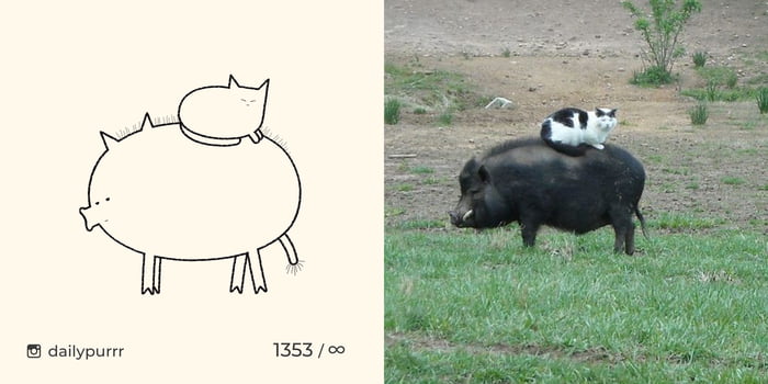 Absolute dominance - 9GAG