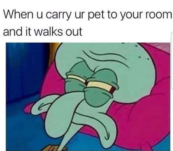 Bro, come back! - 9GAG