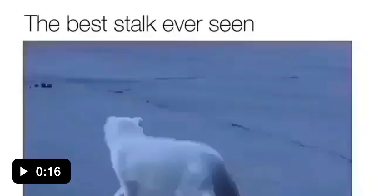 Who me? I'm just scratching my ears... - 9GAG