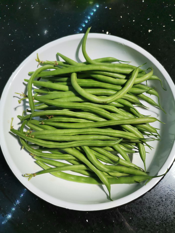 I planted and grew my own boontjies - 9GAG