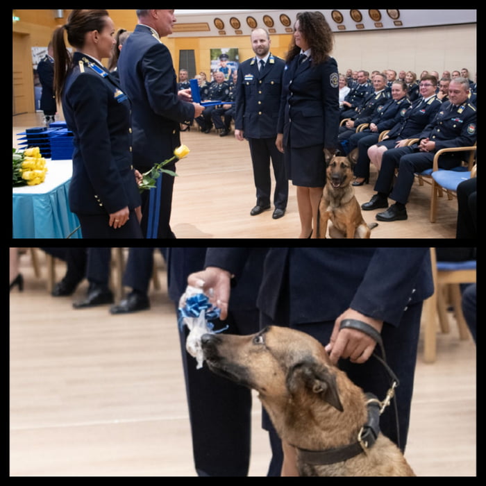 Boss, the police dog ans his partner, who saved the life of a 47 years ...