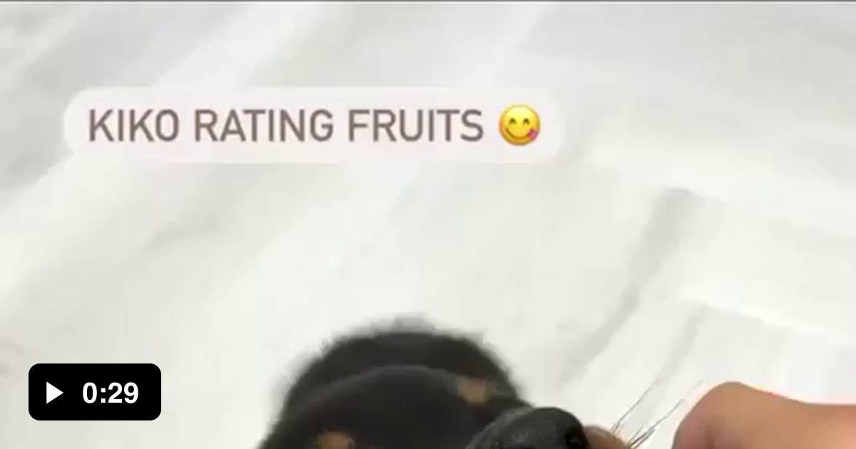 Chomp chomp chomp - 9GAG