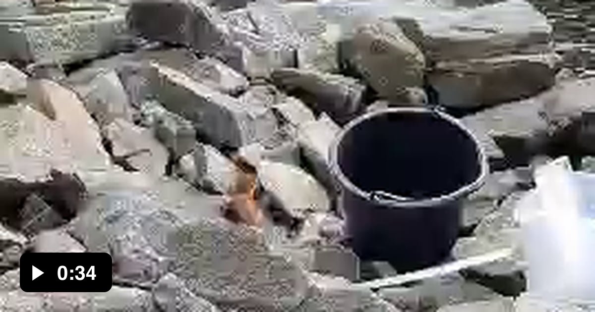 Stoat stole my fish - 9GAG