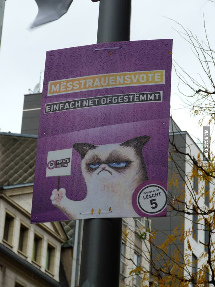 Vote for Grumpy Cat in Luxembourg - 9GAG