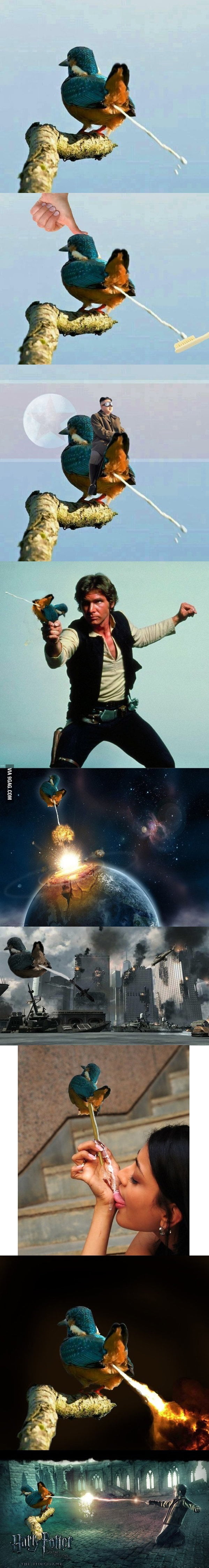 Bird poop can be annoying, but also quite funny! - 9GAG