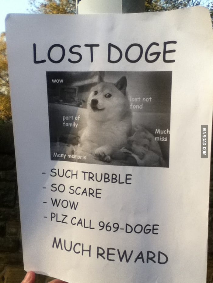 Lost Doge Meme