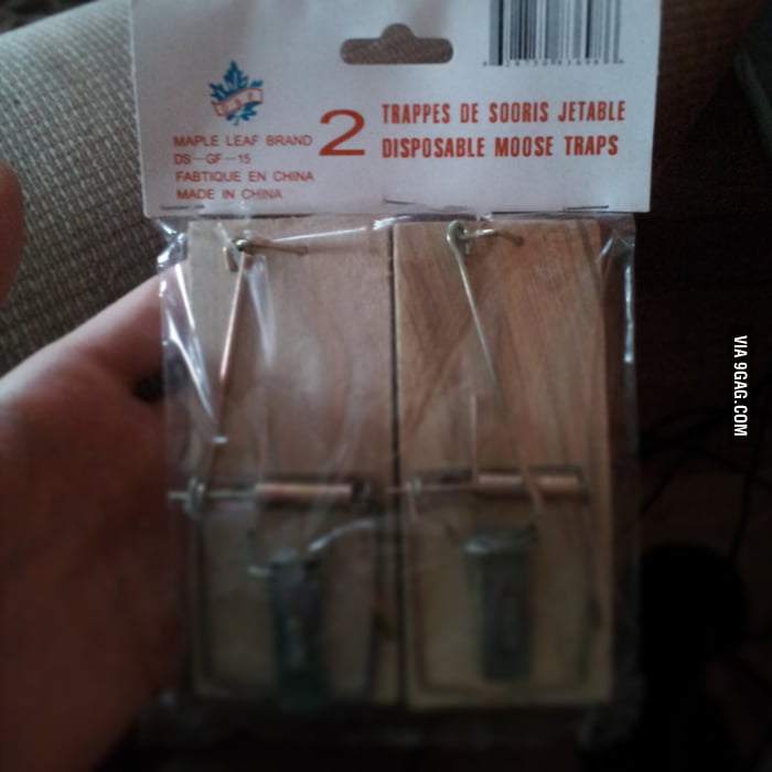 Well, okay... but I really only wanted to trap a mouse. - 9GAG