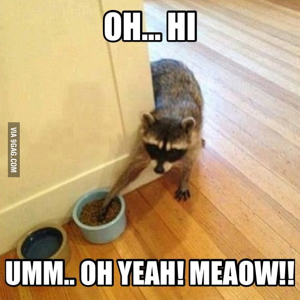 You sneaky litlle!!.. Oh wait! - 9GAG