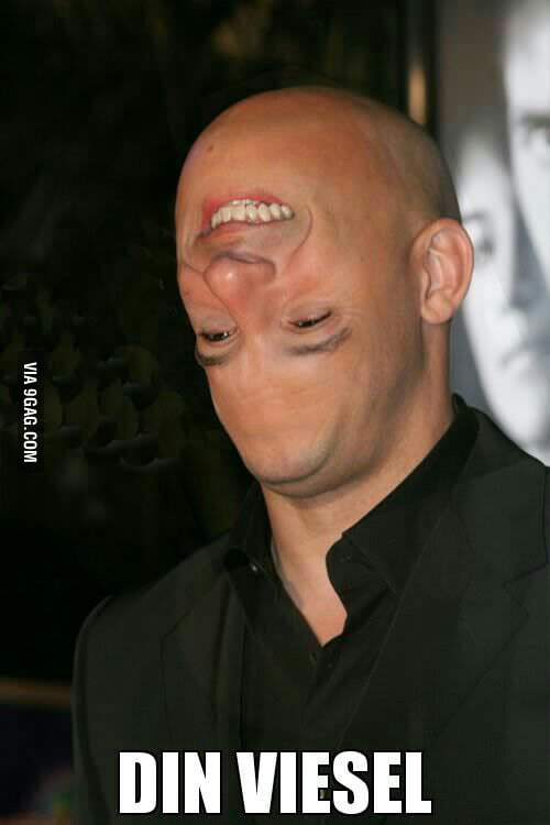 Din Viesel - 9GAG