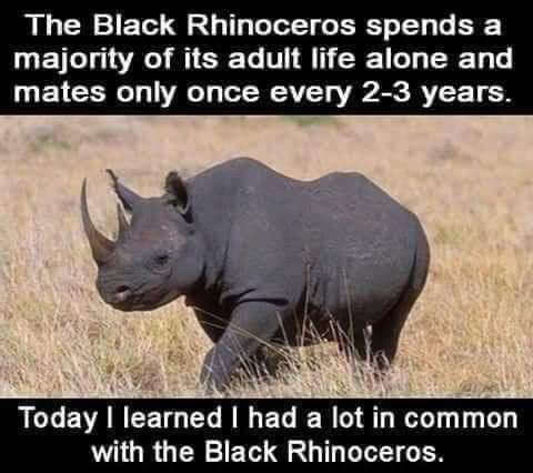 2-3 years? That's optimistic - 9GAG