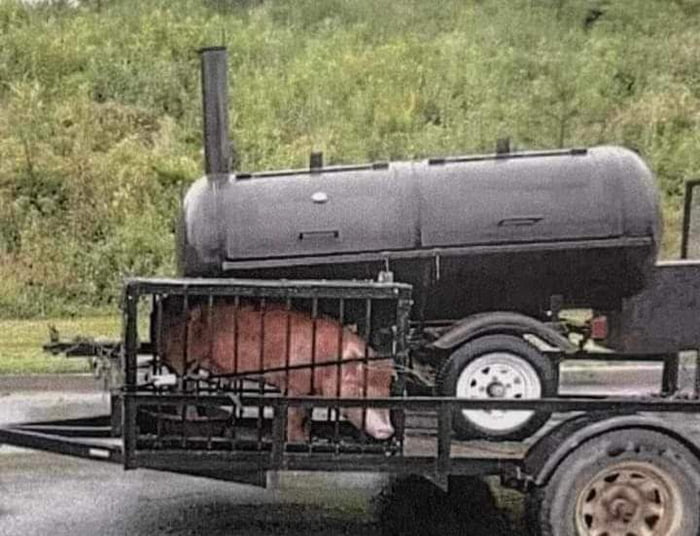 When you want the meat fresh - 9GAG