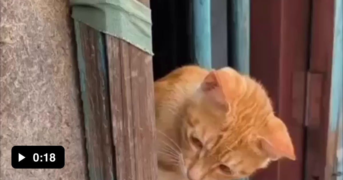 Us...... Literally.......us, WTF - 9GAG