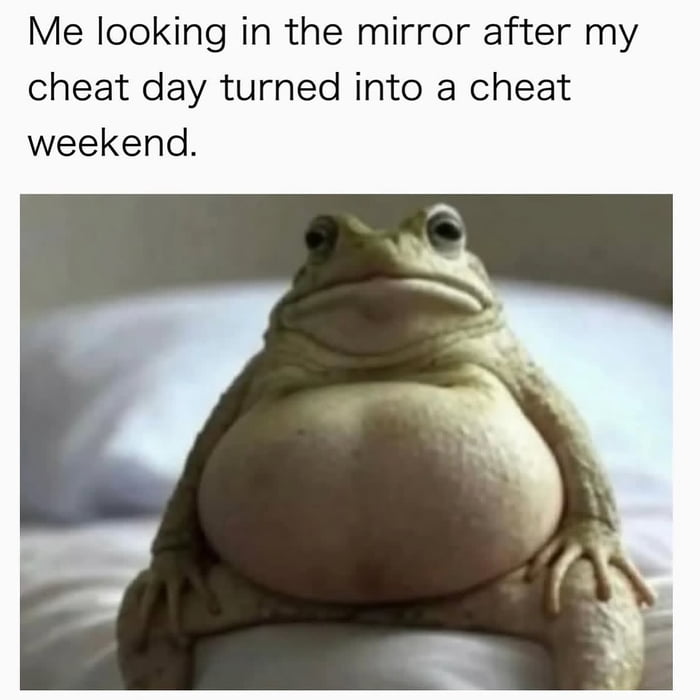 When one cheat day just isn't enough. - 9GAG