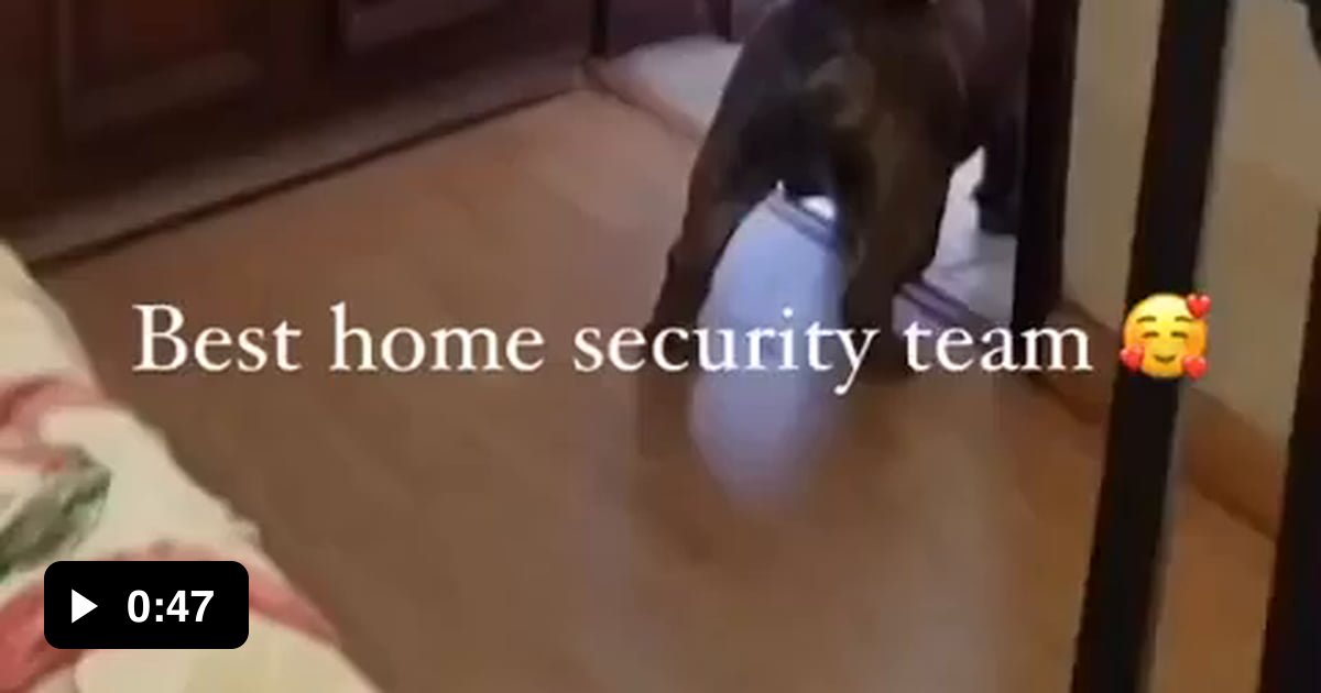 Best home security team - 9GAG