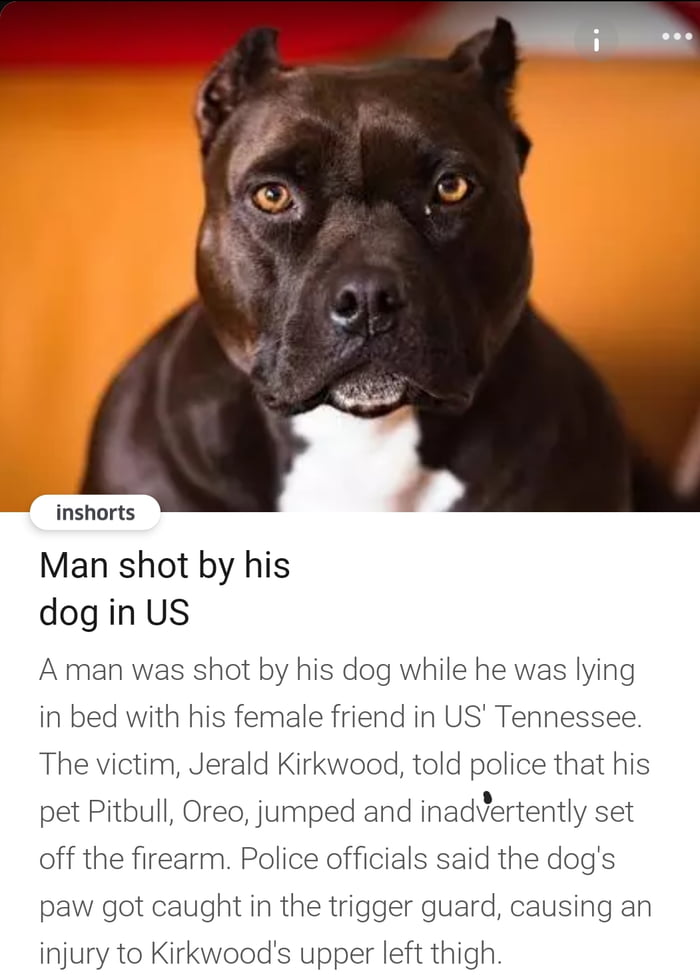 FREE my dawg! - 9GAG