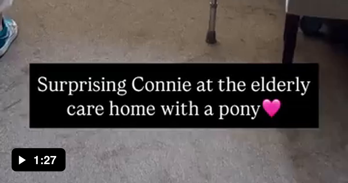 Pure joy meeting a special pony friend - 9GAG
