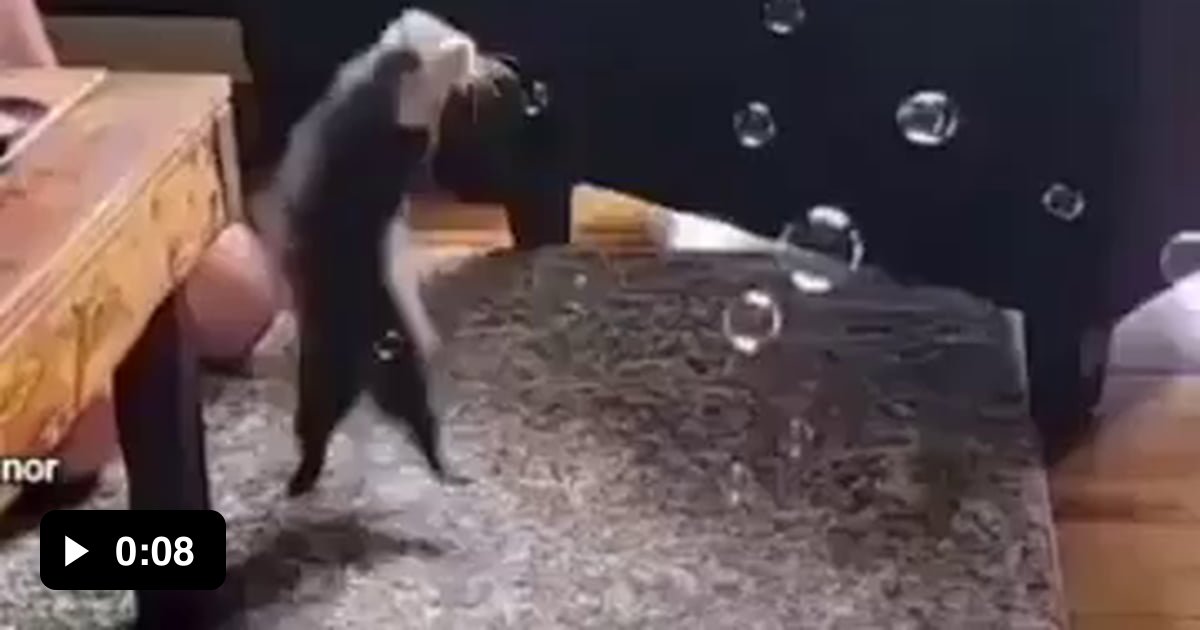 Enjoying the bubbles!! - 9GAG