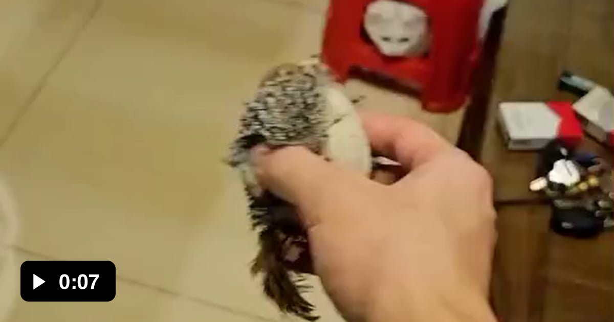 Don't let them know your movements - 9GAG