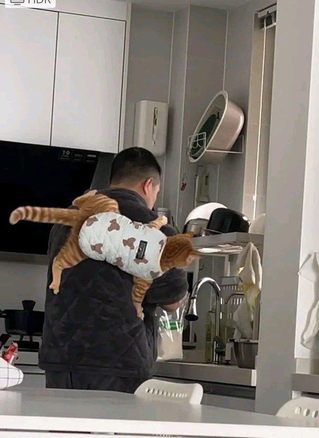 A kitchen policeman - 9GAG