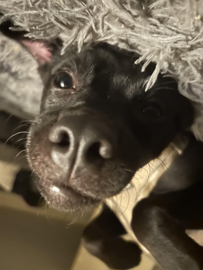 She just farted and it stinks - 9GAG