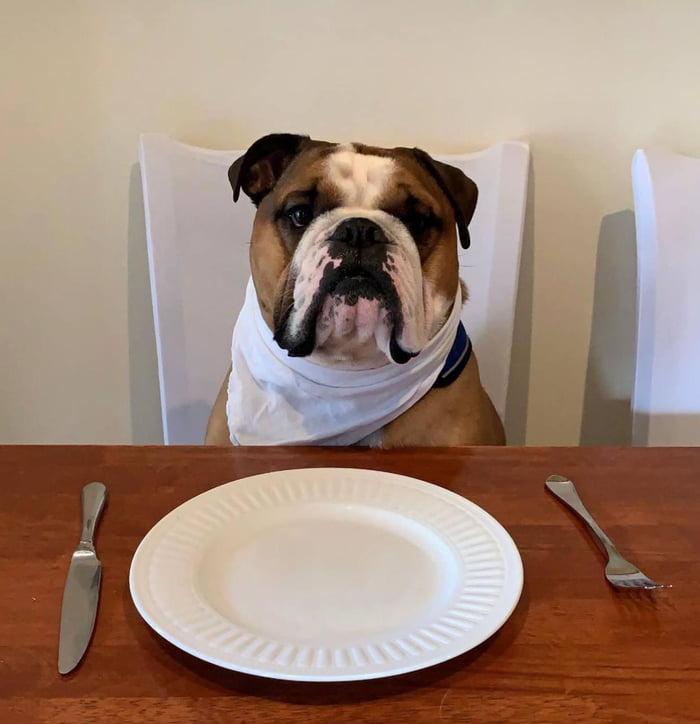 First at the table! - 9GAG