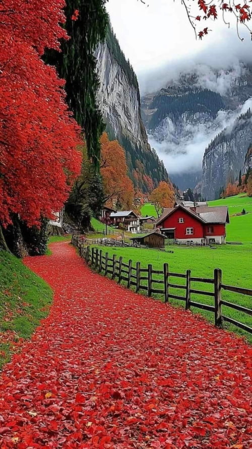 Awesome colors - 9GAG