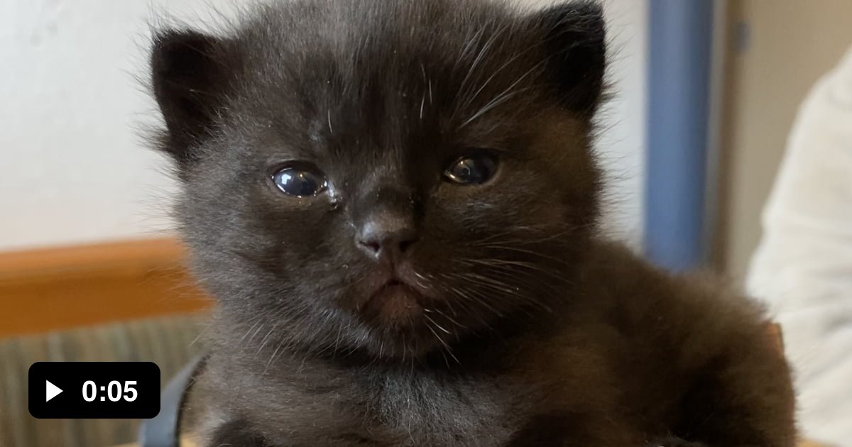 Smol tired void - 9GAG