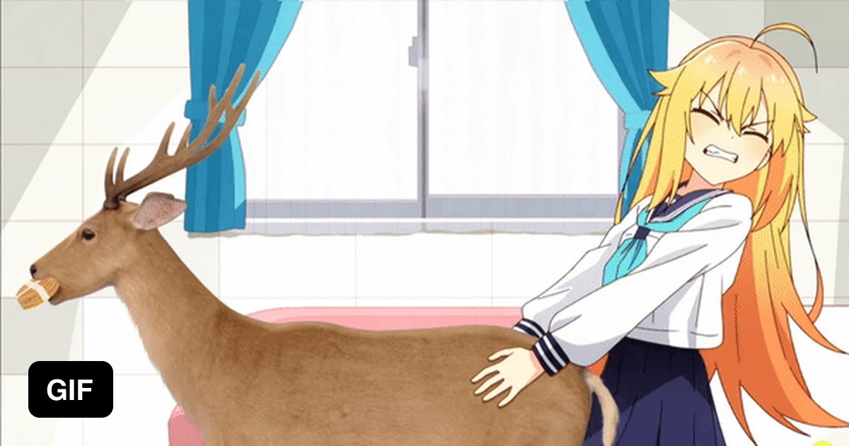 Shikanoko nokonoko koshitantan loop gif - 9GAG