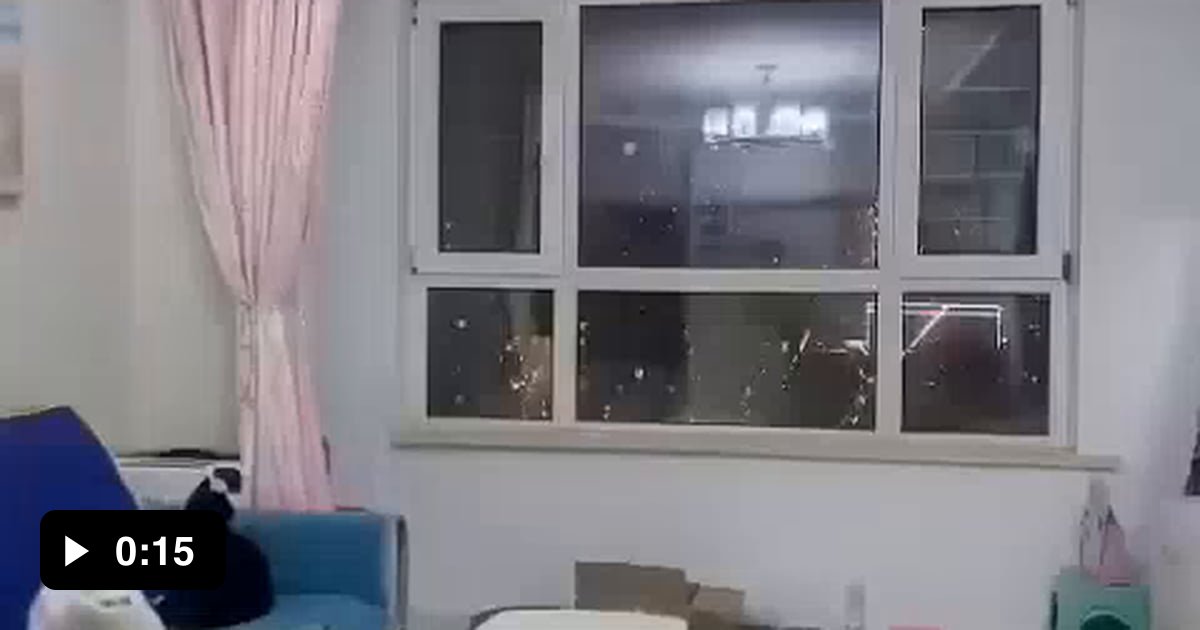 There are two kinds of cats - 9GAG