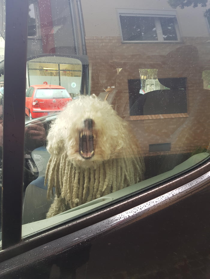 Of an Angry Mop - 9GAG