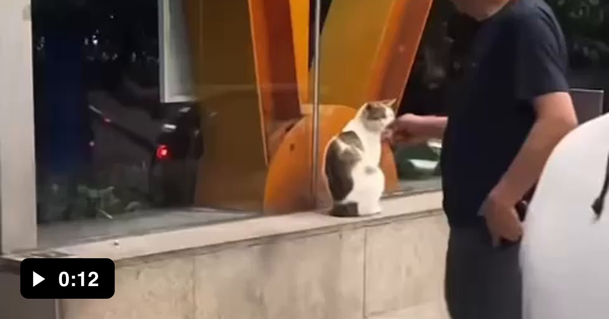 Violence is a vicious circle - 9GAG