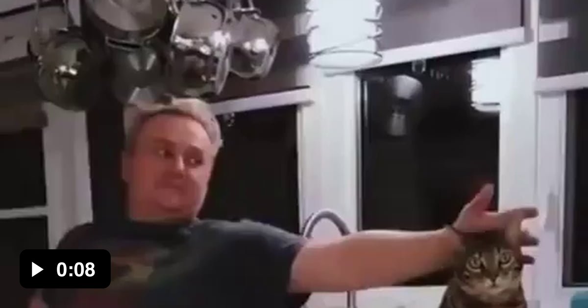 Messing with the cat - 9GAG