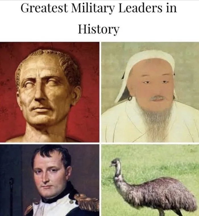 Emmanuel during the Great Emu war - 9GAG
